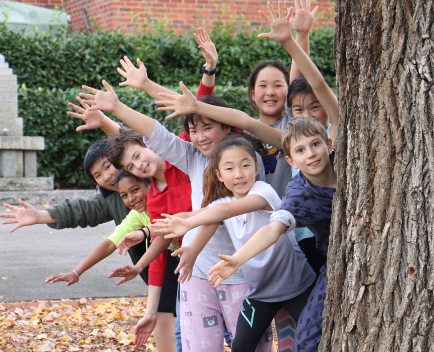 Camberwell Primary School - Welcome Message